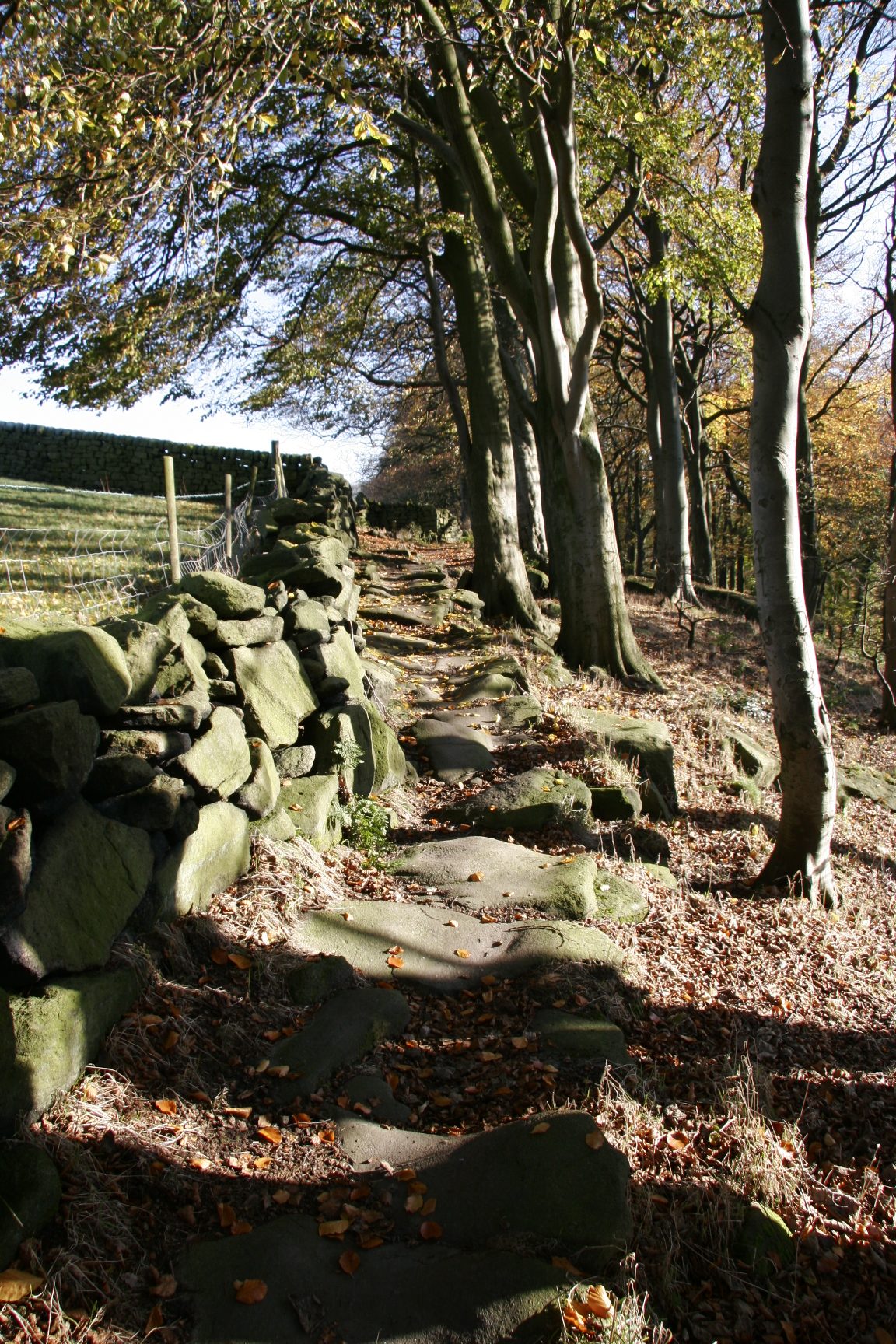 Guided walks – Walkers are welcome to the Heart of the Pennines